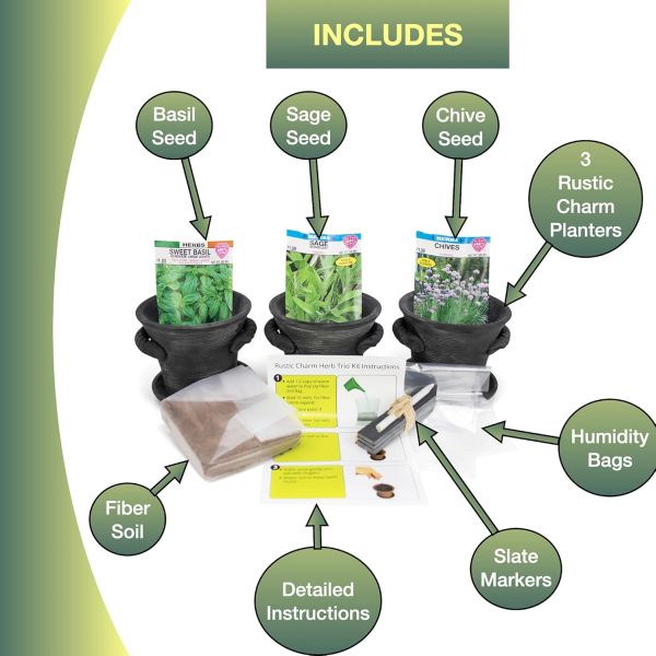 Window Garden Herb Growing Kit - Grow an Indoor Garden, Herb Kitchen ...