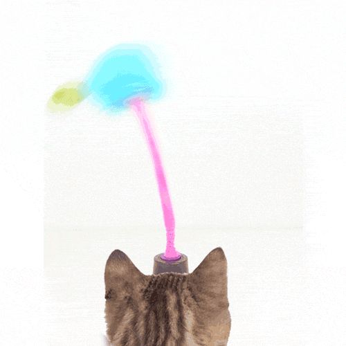 Set of 3 Cat Toys - YOU GET ALL THREE! - Whisker City Wobble Poof ...