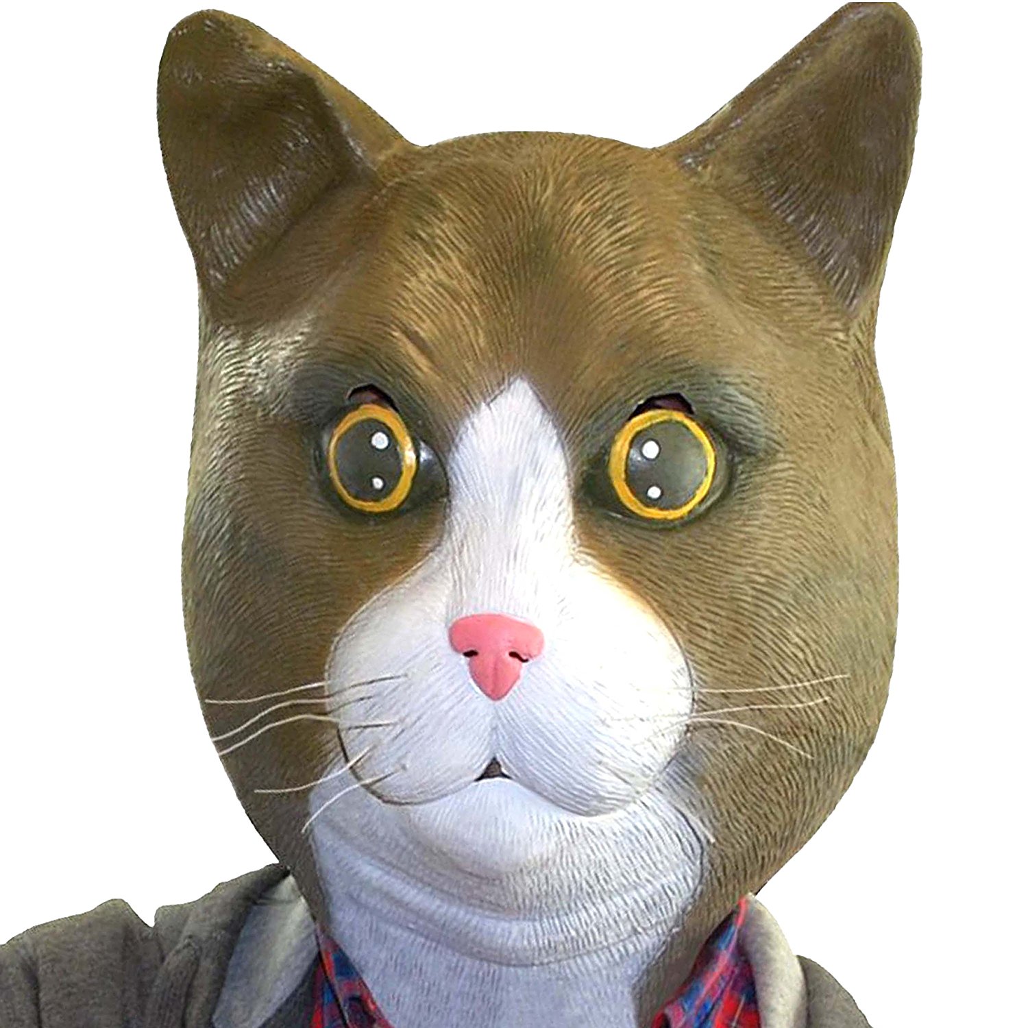 Buster Brown The Cat Mask - GREAT For Halloween coming up sooner than ...
