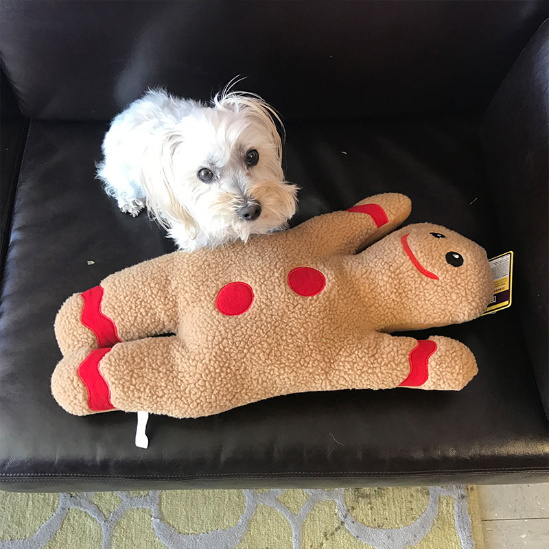 Jumbo 23 inch Gingerbread Man Dog Toy - 13 Deals