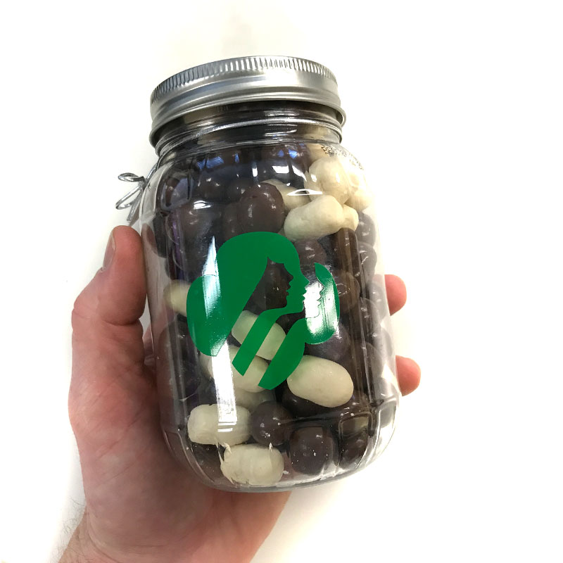 Girl Scouts S'mores Candies In Reusable Mason Jar - One for $6.99 or ...