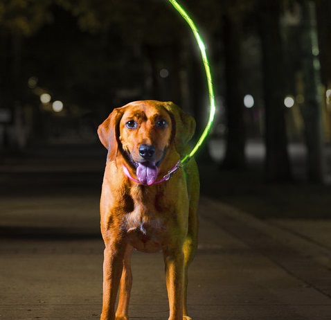 Litey Leash - The Super Cool LED Light Up Dog Leash! - 13 Deals