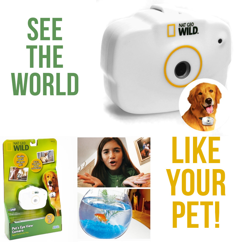 Pet's Eye View Camera by Uncle Milton - National Geographic - SHIPS ...