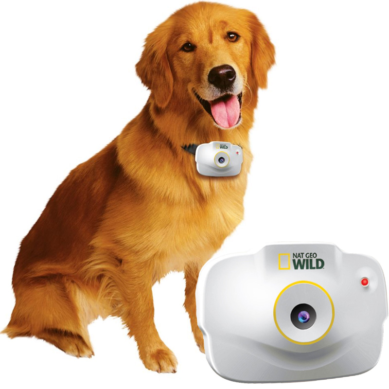 Pet's Eye View Camera by Uncle Milton - National Geographic - SHIPS ...