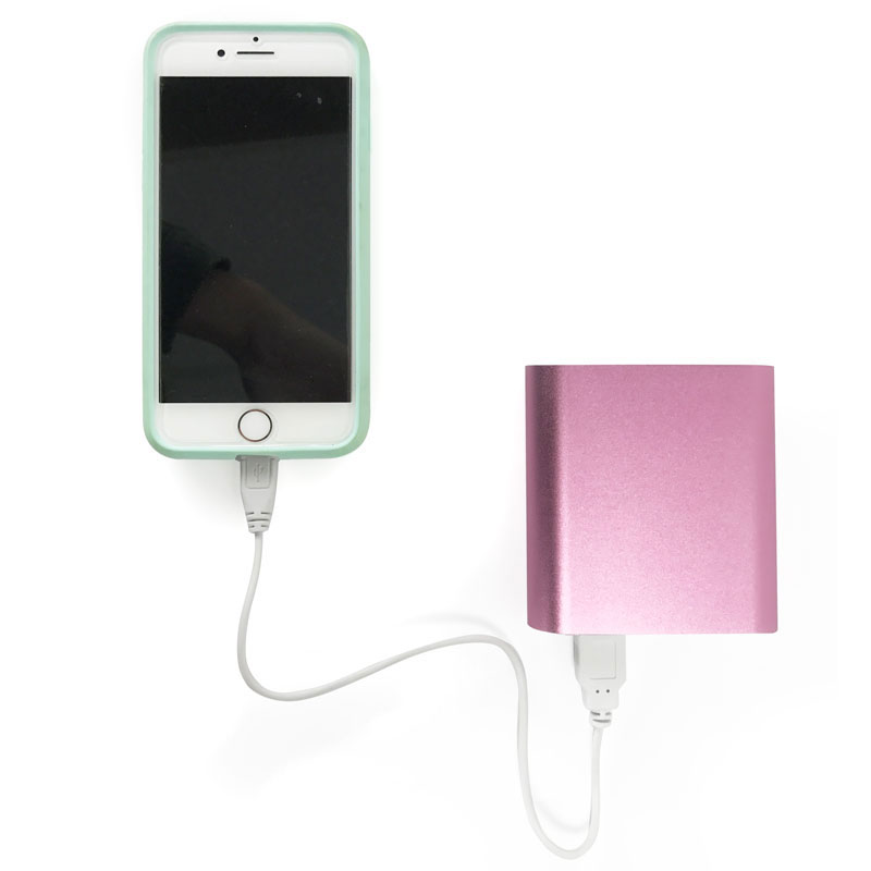 PowerNow! Dual Port Portable Charger 6600 mAh - Charge your phone ...