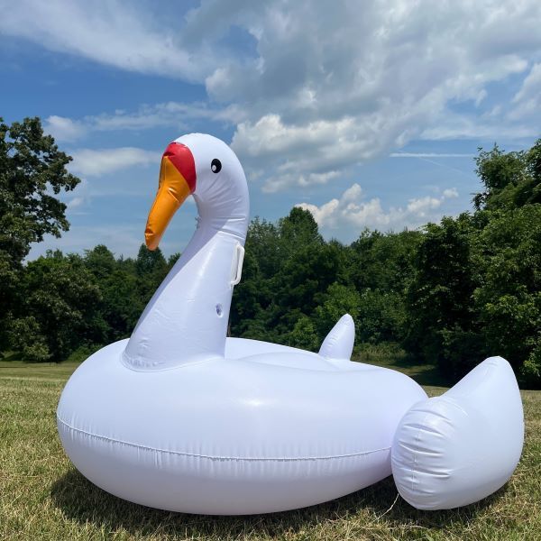 Choose from HUGE Inflatable Loch Ness Monster Lounger Float - 70 x 67 x ...