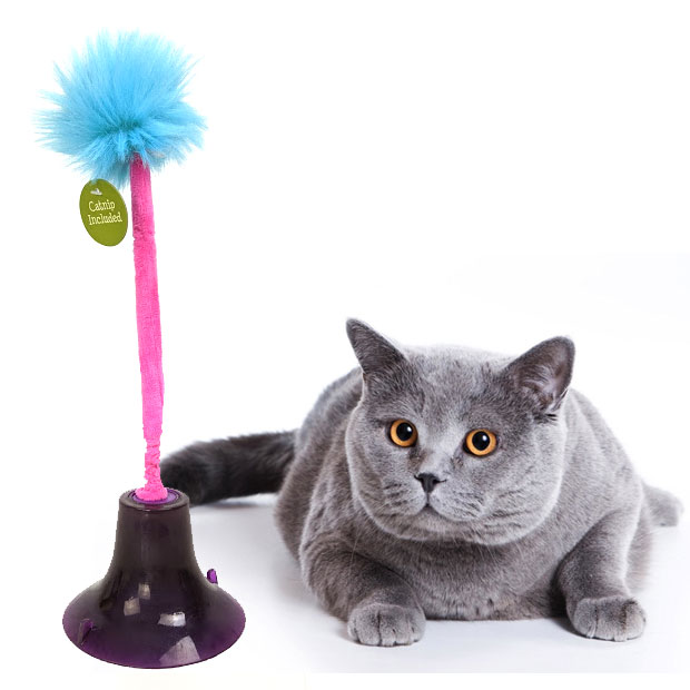 Set of 3 Cat Toys - YOU GET ALL THREE! - Whisker City Wobble Poof ...
